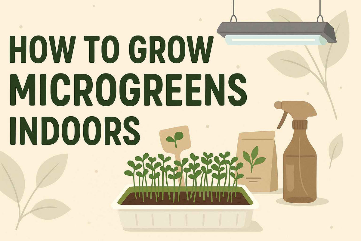 How to Grow Microgreens Indoors: Complete Guide for Beginners – TheOneGrow
