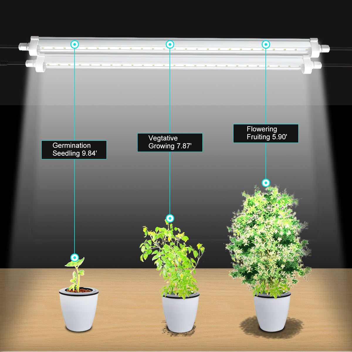 T8 LED Tube Grow Lights 𝟭𝟬𝗪 𝗫 𝟮𝗣𝗖𝗦 for Plant Seedling/Leafgreen/Mushro ...