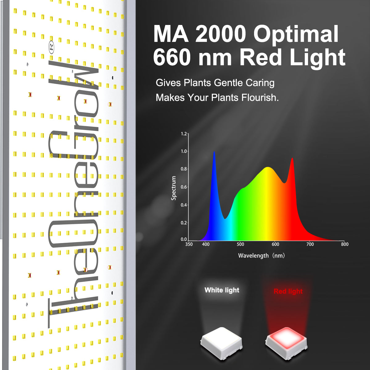 200W Full Spectrum Led Panel Light for Grow Tent – TheOneGrow