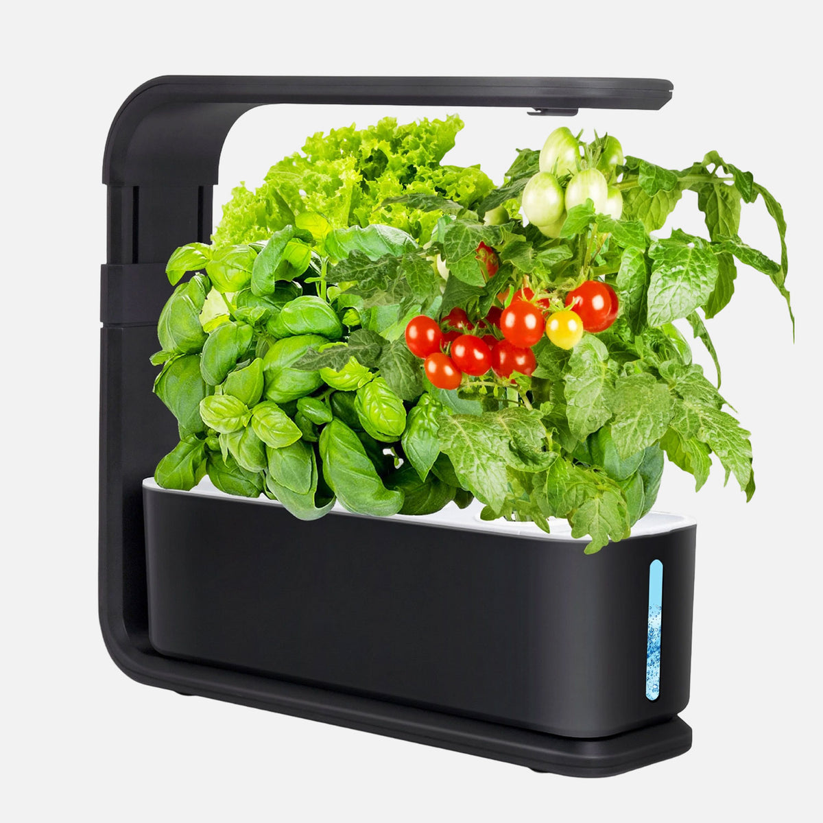 Smart Countertop Hydroponic Grower – TheOneGrow